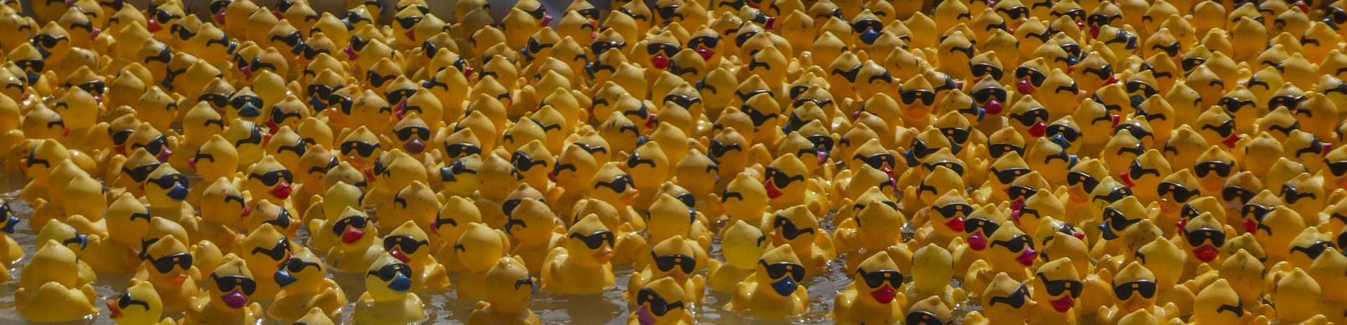 Rubber Duck Debugging - Information Kinetics